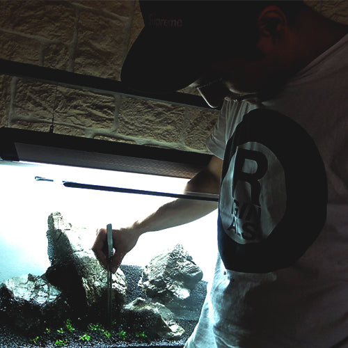 Conception – BotanicWorkshop