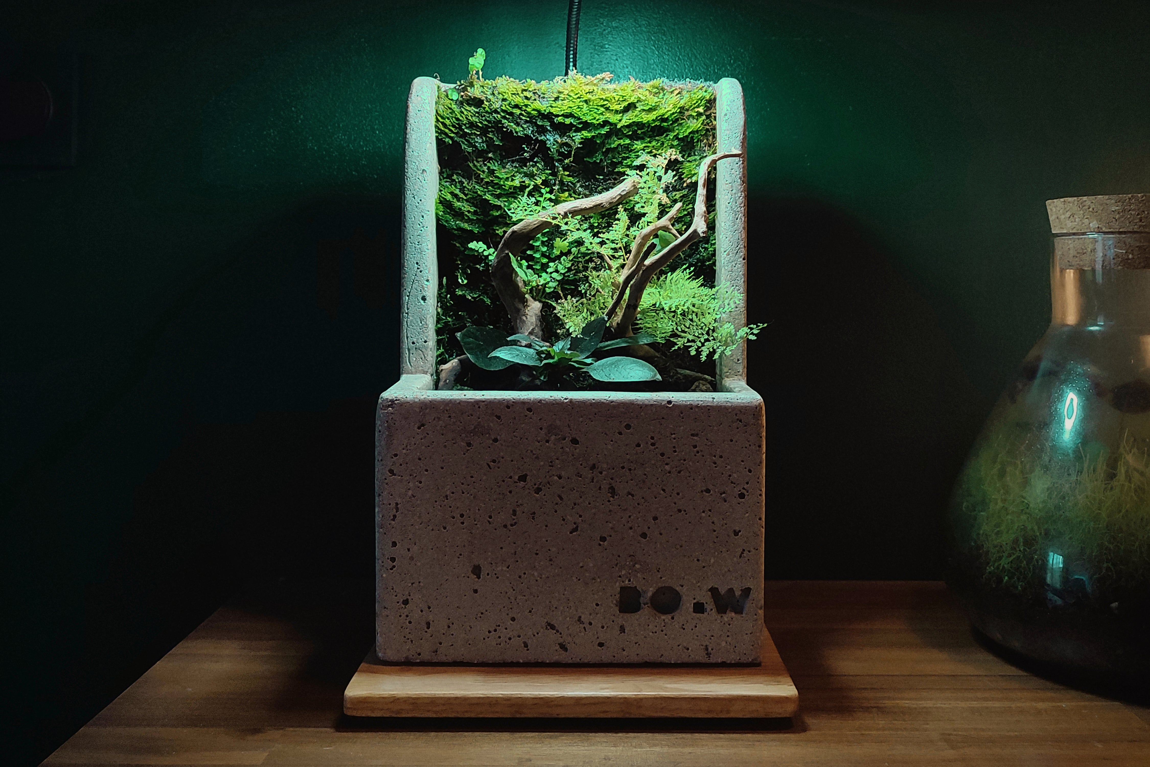 Mur Végétal – BotanicWorkshop