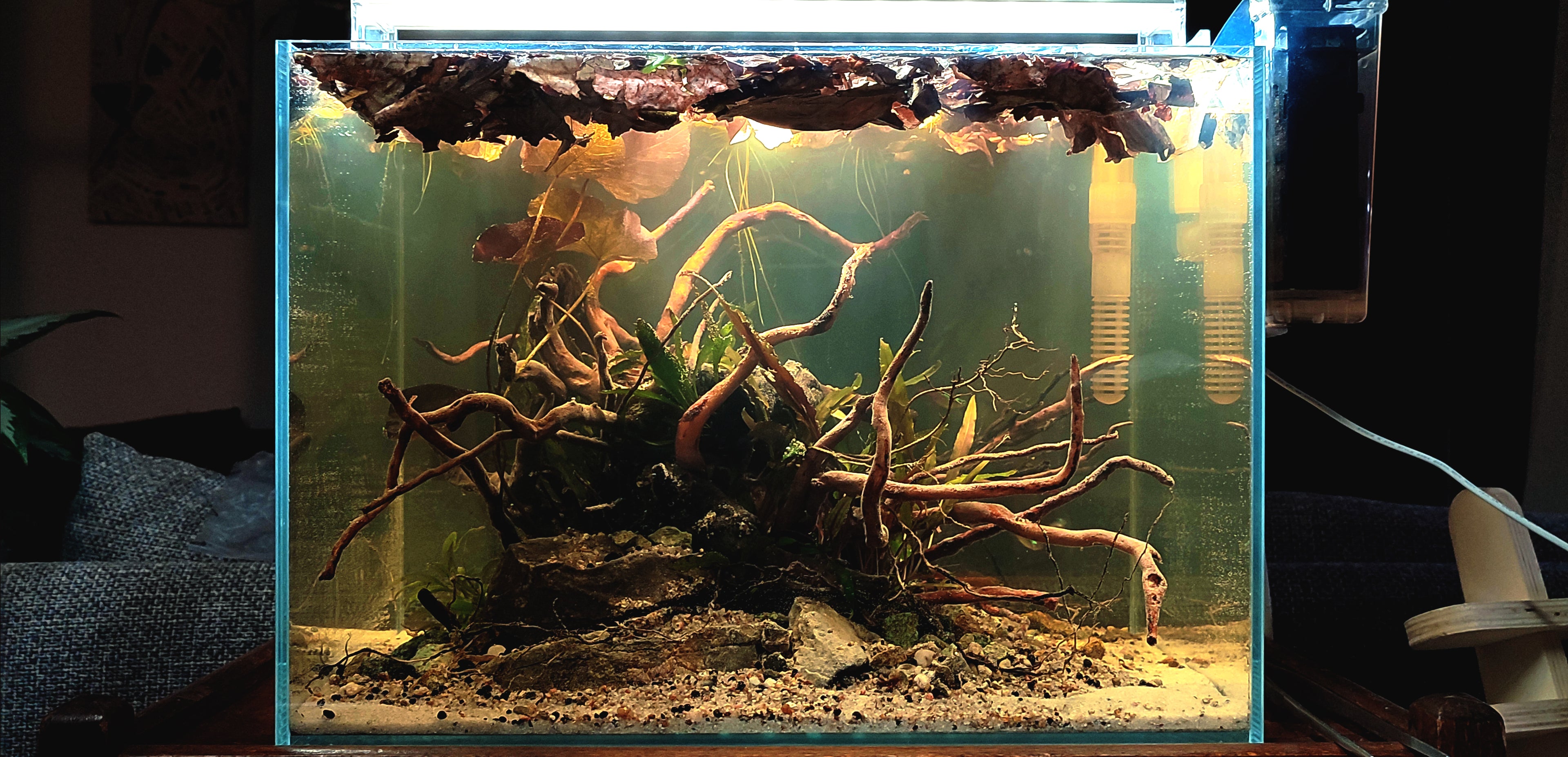 Galerie – BotanicWorkshop