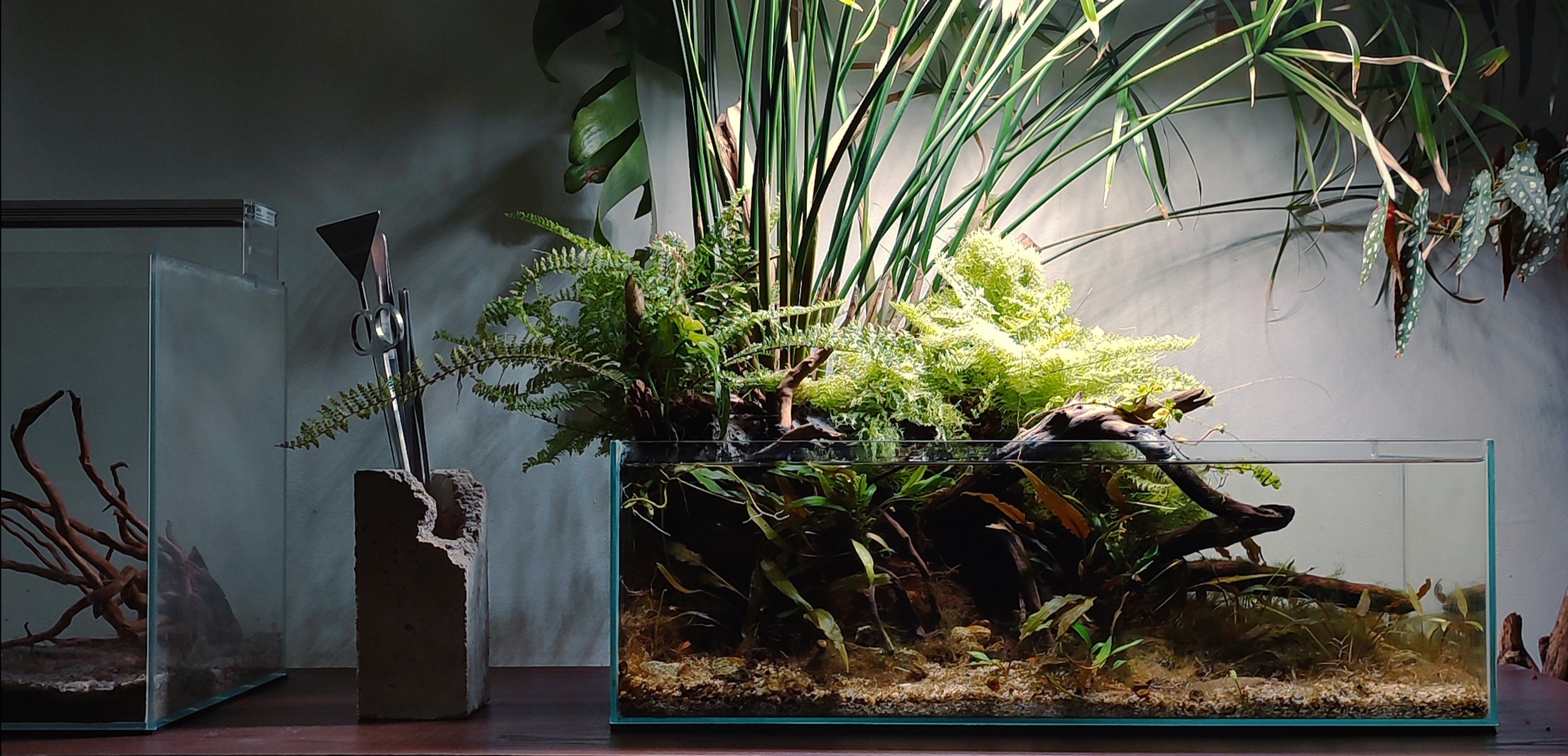 Galerie – BotanicWorkshop